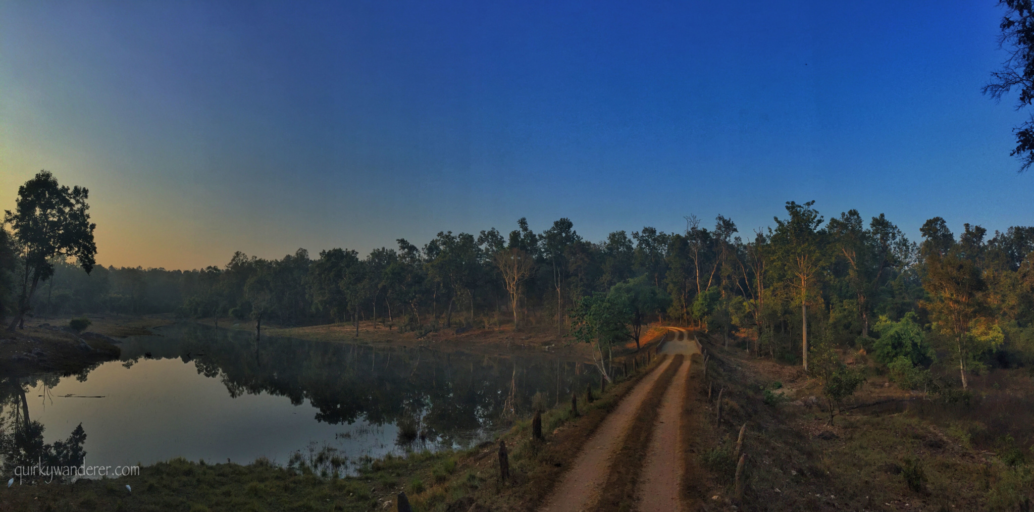 Reliving The Jungle book at Kanha National Park - Quirky Wanderer