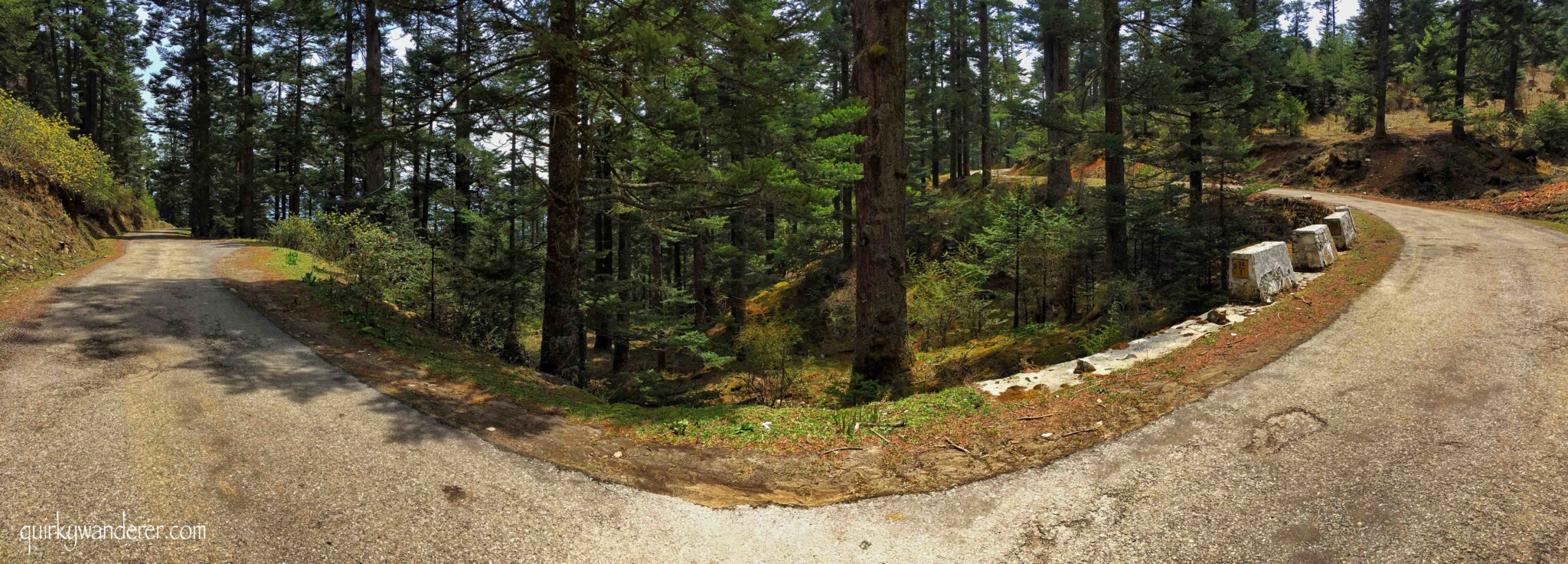 Heroes of the Road: An Ode to the Drivers of India - Quirky Wanderer