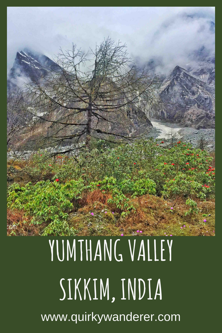 The Paradise Called Yumthang Valley - Quirky Wanderer