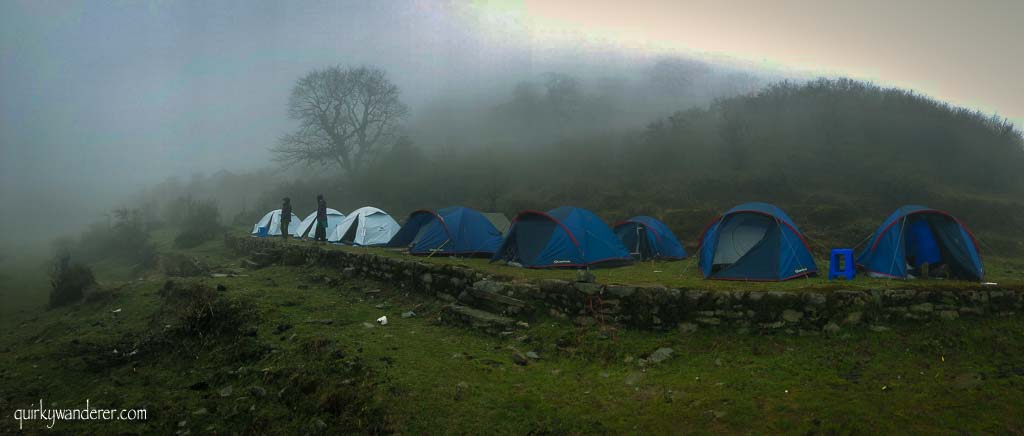 Barsey Rhododendron Trek in West Sikkim - Quirky Wanderer