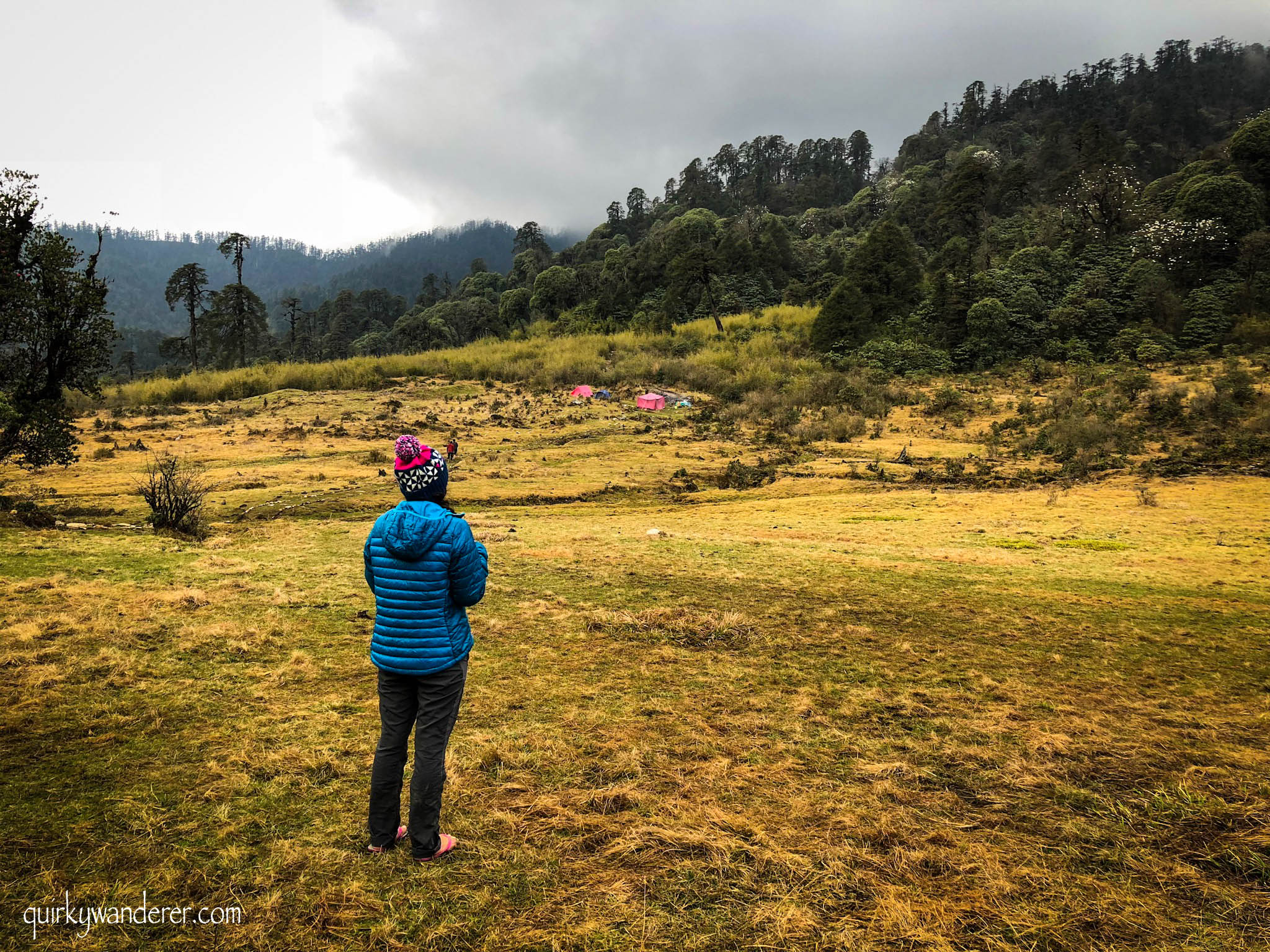 Barsey Rhododendron Trek in West Sikkim - Quirky Wanderer