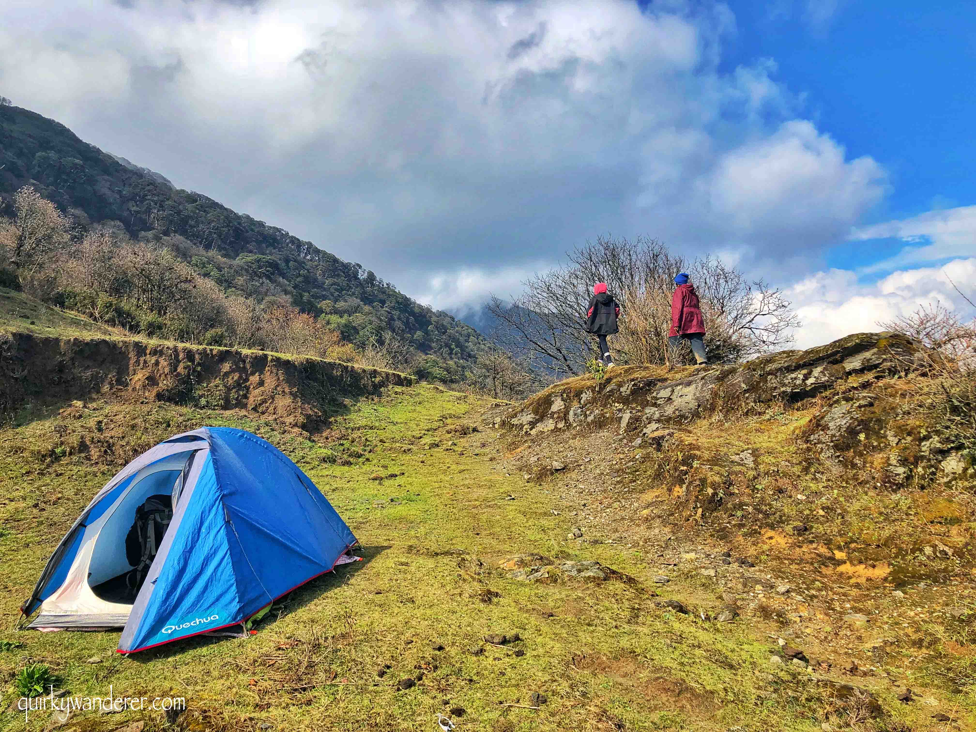 Barsey Rhododendron Trek in West Sikkim - Quirky Wanderer
