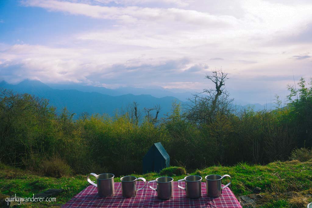 Barsey Rhododendron Trek in West Sikkim - Quirky Wanderer